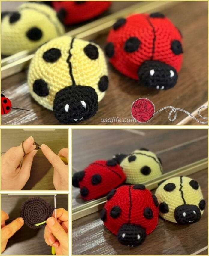 Crochet a Cute Ladybug Free Pattern - Hand Crafted