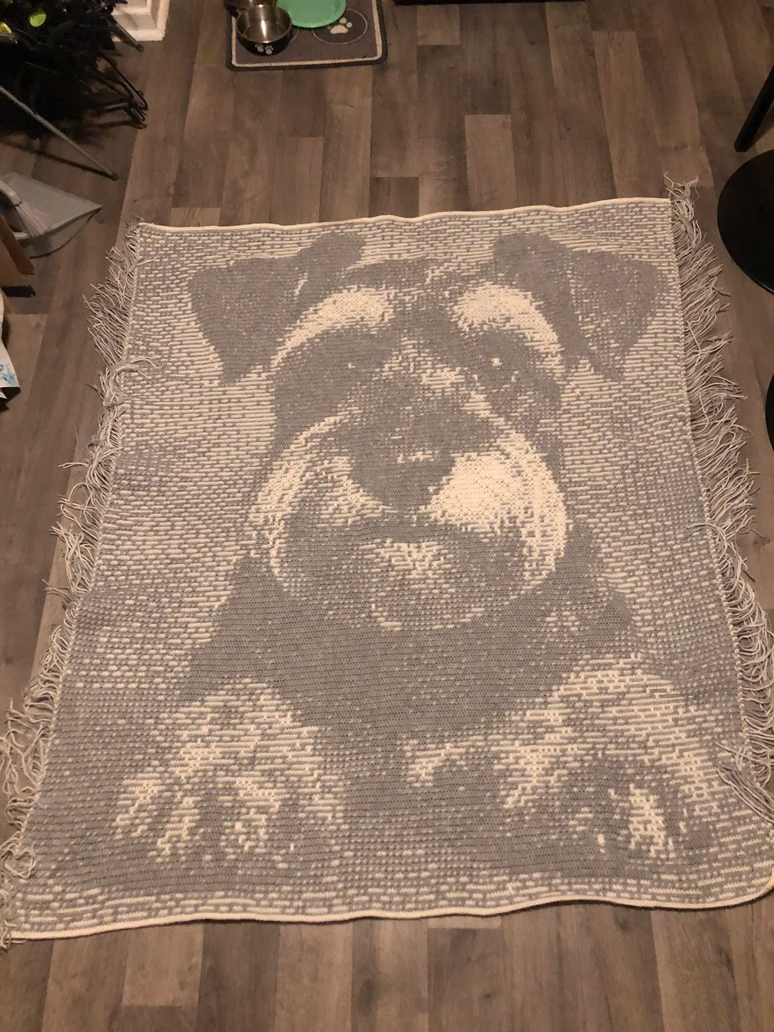 Crochet Dog Rug Pattern - Hand Crafted